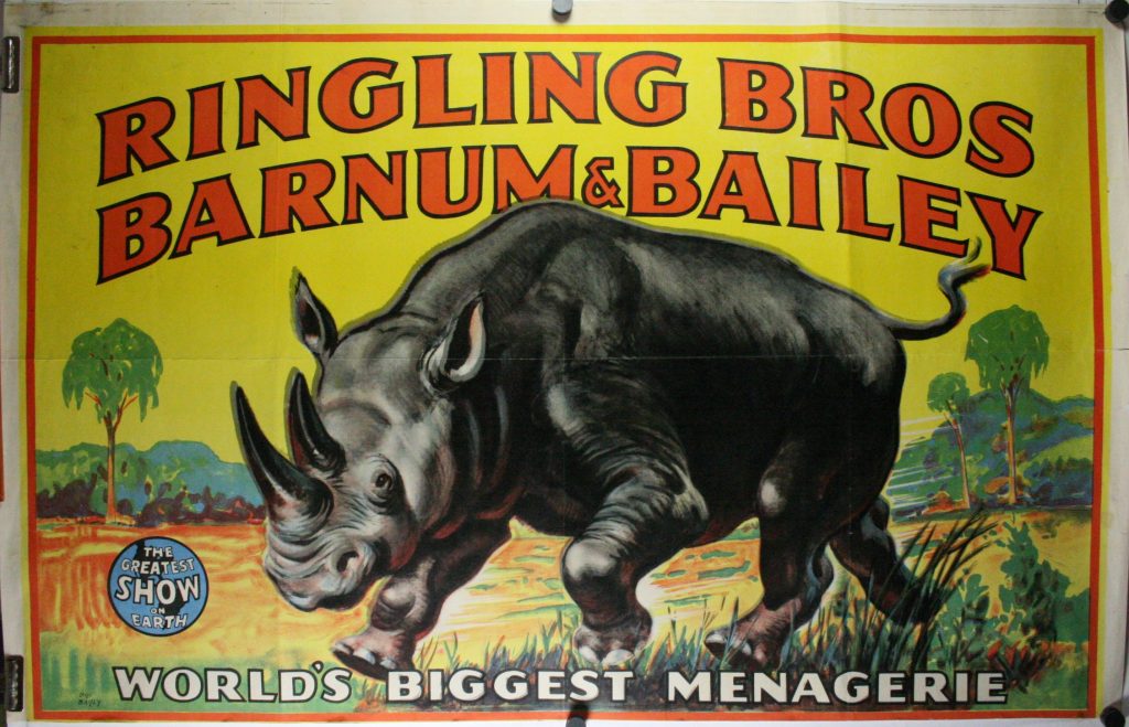 RINGLING BROS AND BARNUM & BAILEY- RHINOS, Original Vintage Circus ...